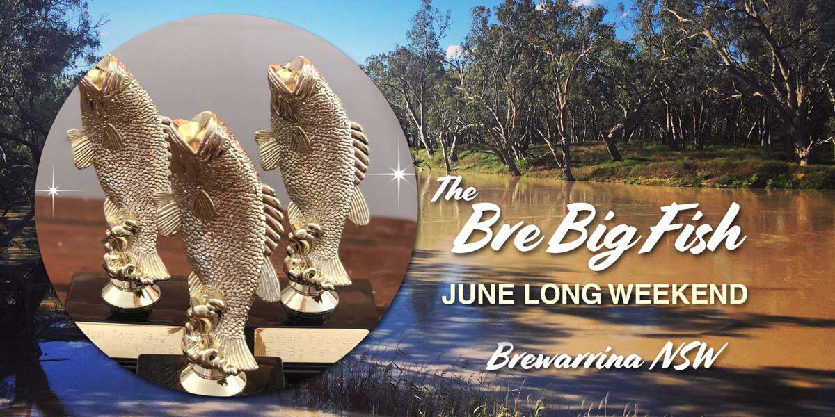 Bre Big Fish | The Darling River Run