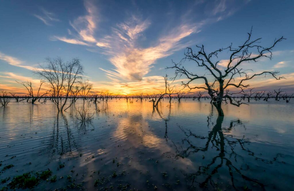 Menindee | The Darling River Run